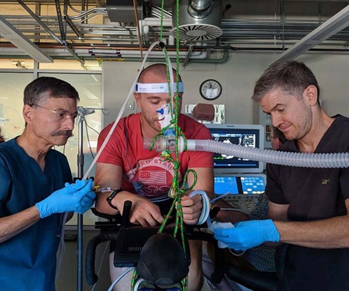 Human Physiology | Natural Sciences