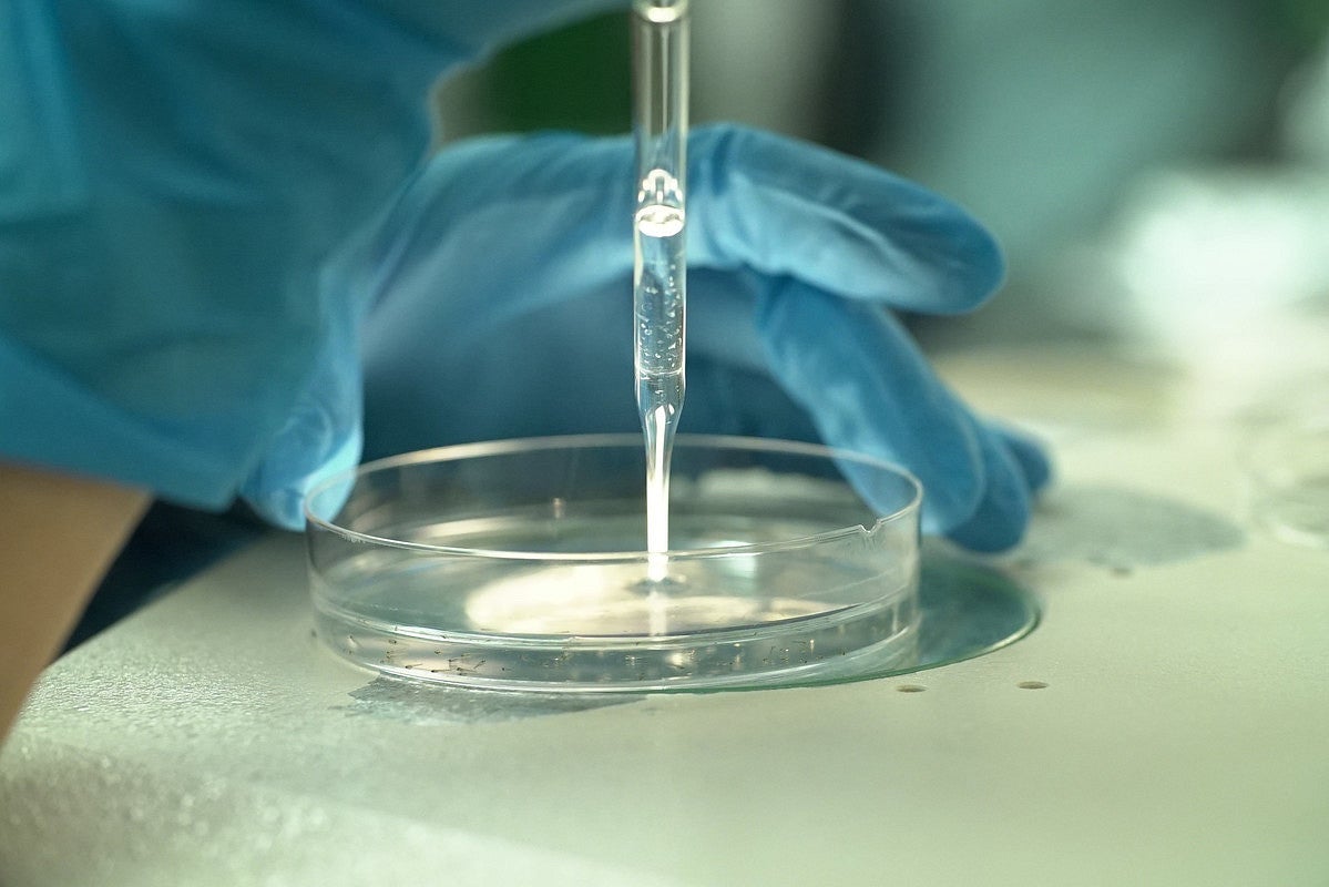 Research | Biology | Natural Sciences