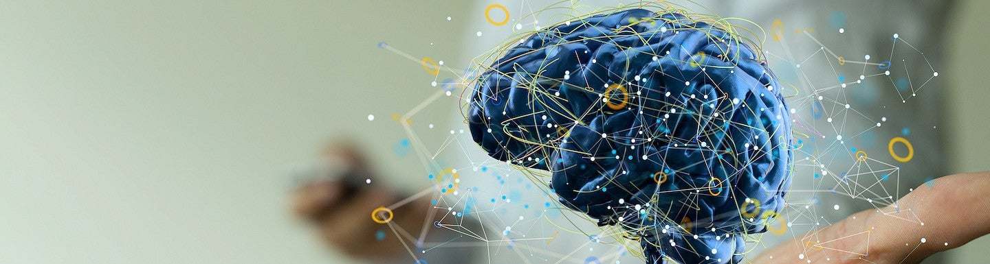 Interdisciplinary Opportunities | Neuroscience | Natural Sciences