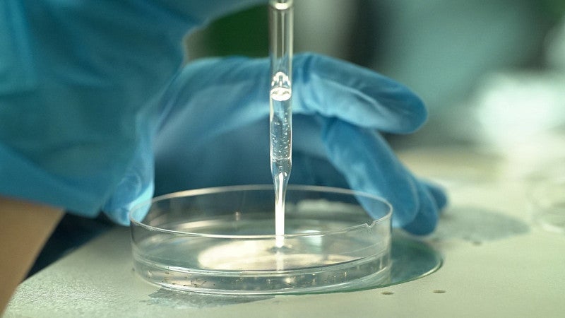 Research | Chemistry and Biochemistry | Natural Sciences