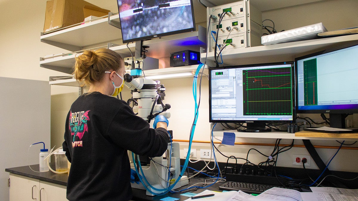 Experiential Learning | Human Physiology | Natural Sciences