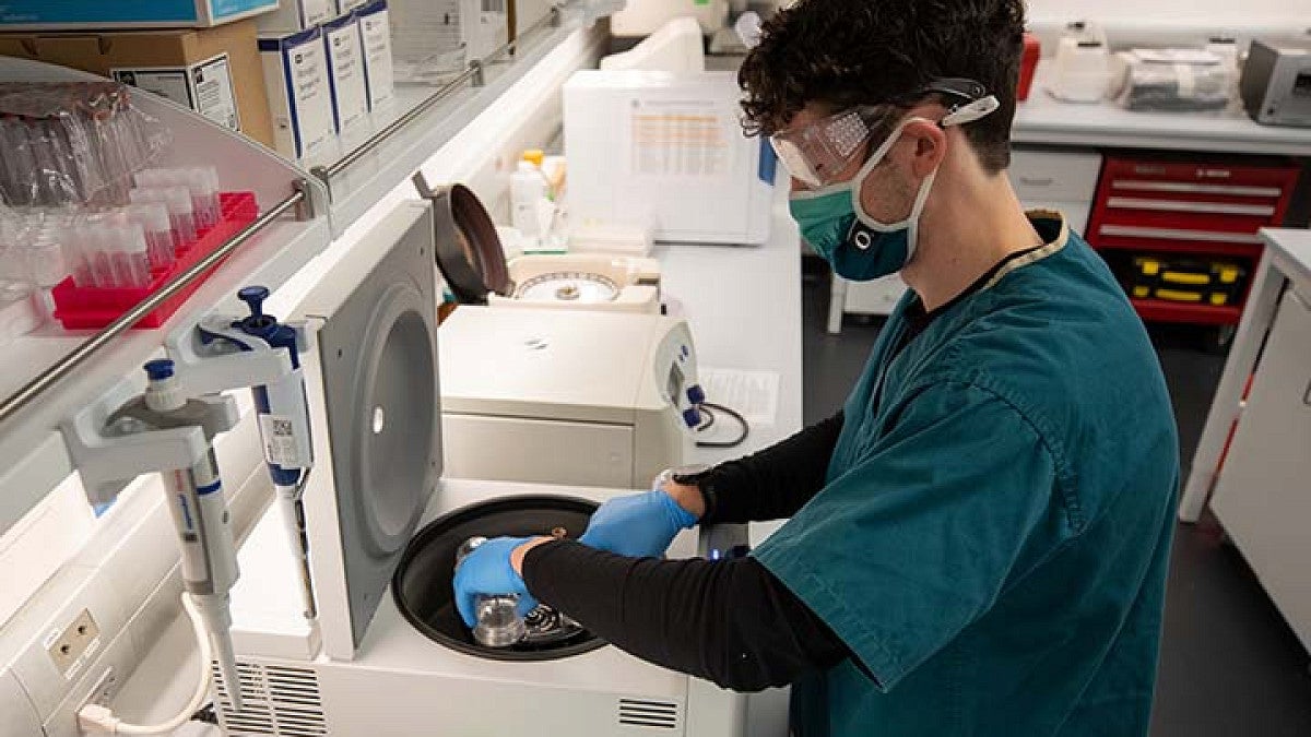 Undergraduate Programs | Human Physiology | Natural Sciences