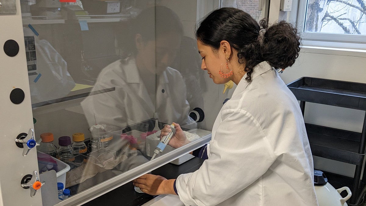 Research | Neuroscience | Natural Sciences