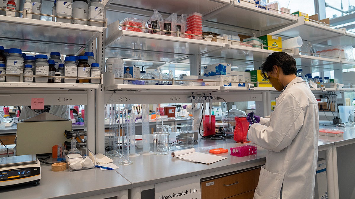 Undergraduate Program | Multidisciplinary Science | Natural Sciences